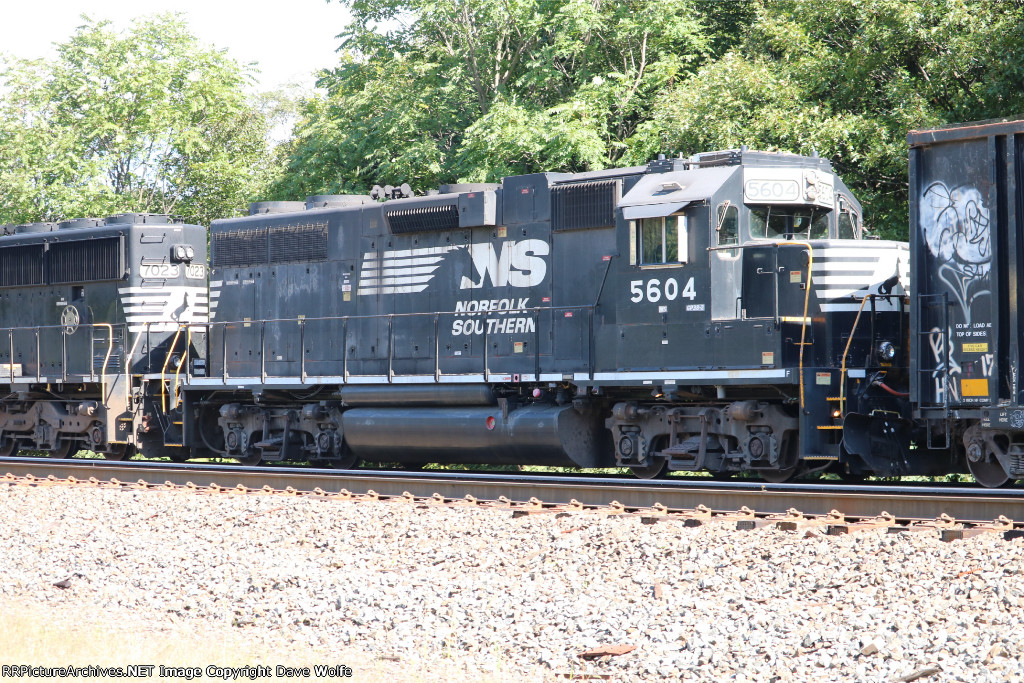 NS 5604